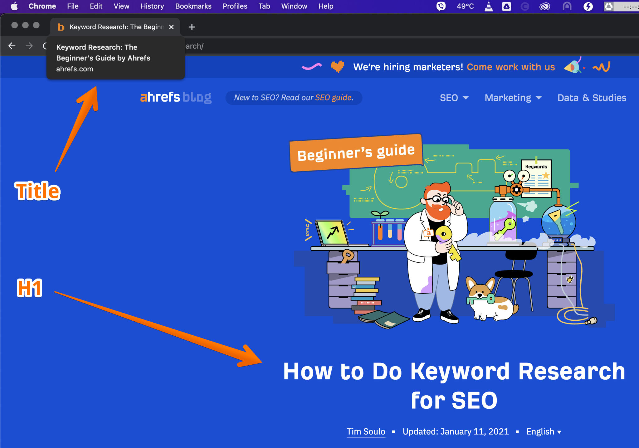 Todo sobre encabezado HTML: Lo esencial que necesitas saber