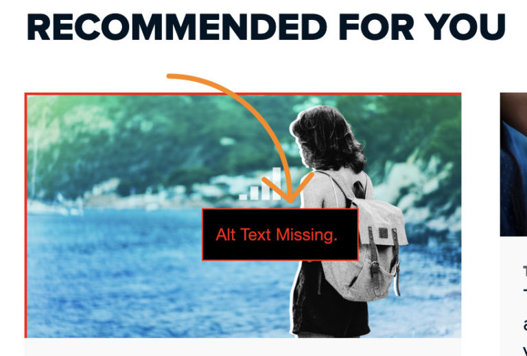 Alt Text for SEO: How to Optimize Your Images