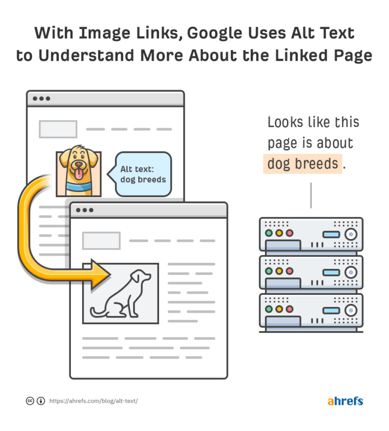 Alt Text for SEO: How to Optimize Your Images
