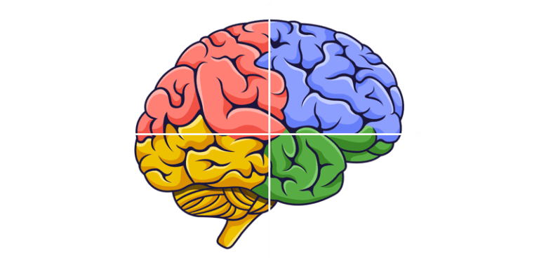 Google's Knowledge Graph Explained: How It Influences SEO