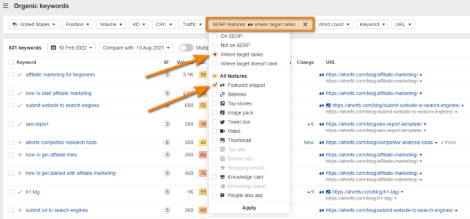 What are SERP Features? Best Practices for SEO.