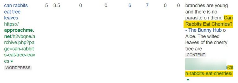 8 Types of Bad Links to Avoid