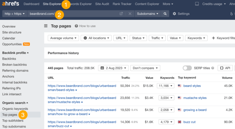 24 Actionable Blogging Tips for Beginners