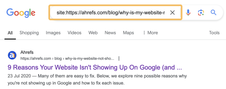 8 Fixes For When Your Website Isn't Showing Up In Google