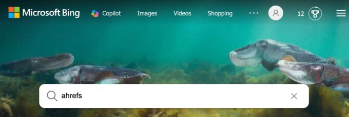16 Top Search Engines in 2025 (Including Google Alternatives)
