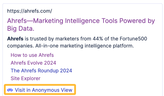 16 Top Search Engines in 2025 (Including Google Alternatives)