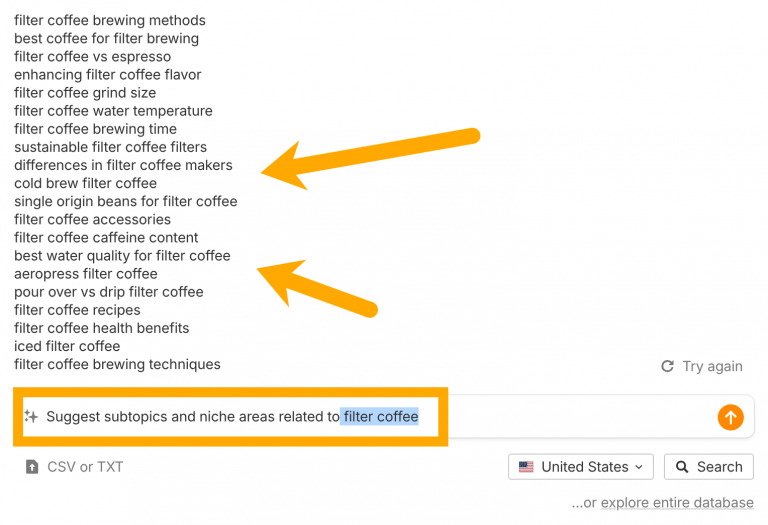 Focus Keywords: What They Are, and How to Choose the Right One